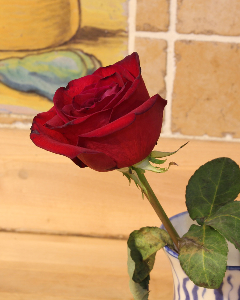 MYSTERY OF THE UNDEAD ROSE