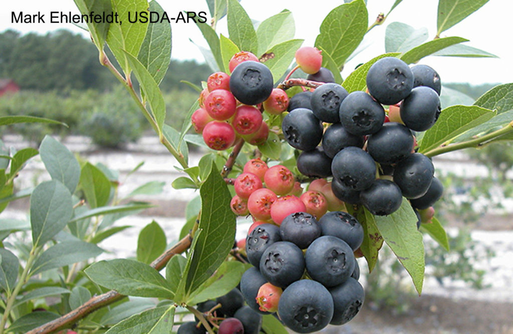 HEAVEN AND(?) SOME HELL