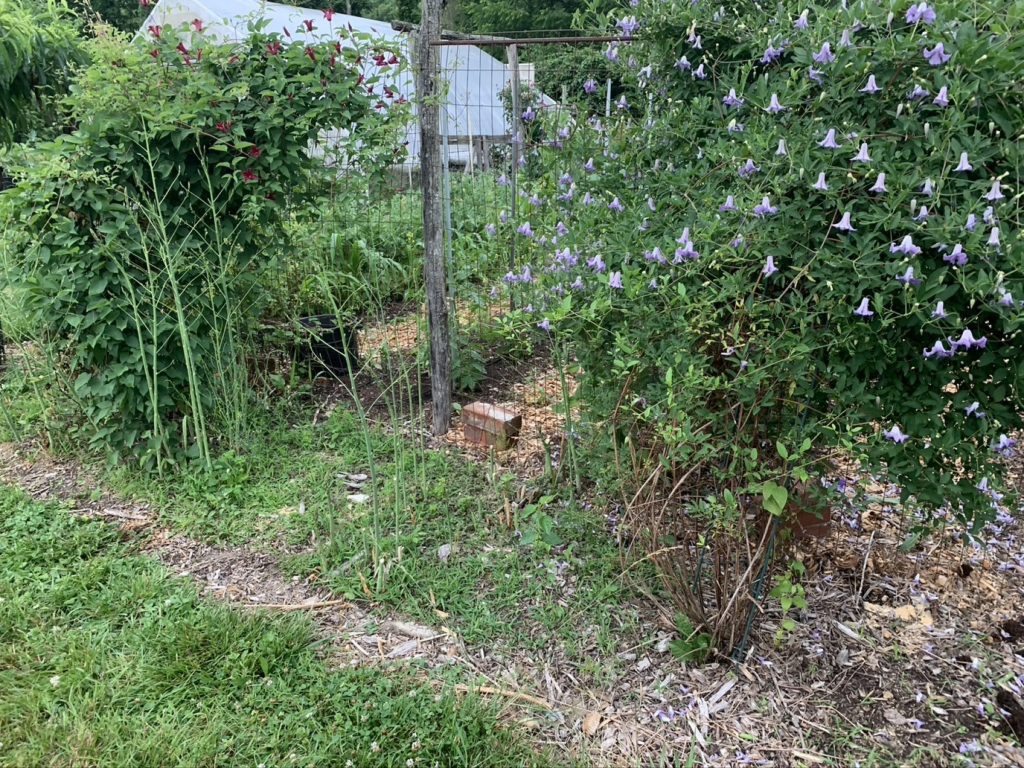 “SPARROWGRASS” RENOVATION