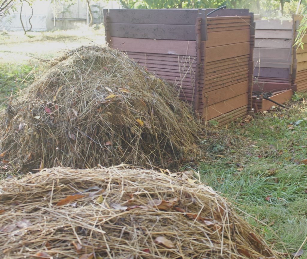 COMPOSTING, A DIDACTIC & A PERSONAL VIEW
