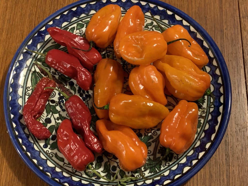 ABOUT PEPPERS