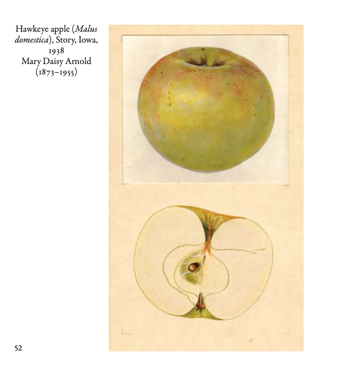 ART, HISTORY, AND QUAINT NAMES